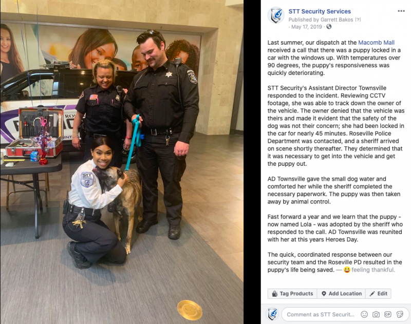 Security Guard Company | STT Security and Investigations